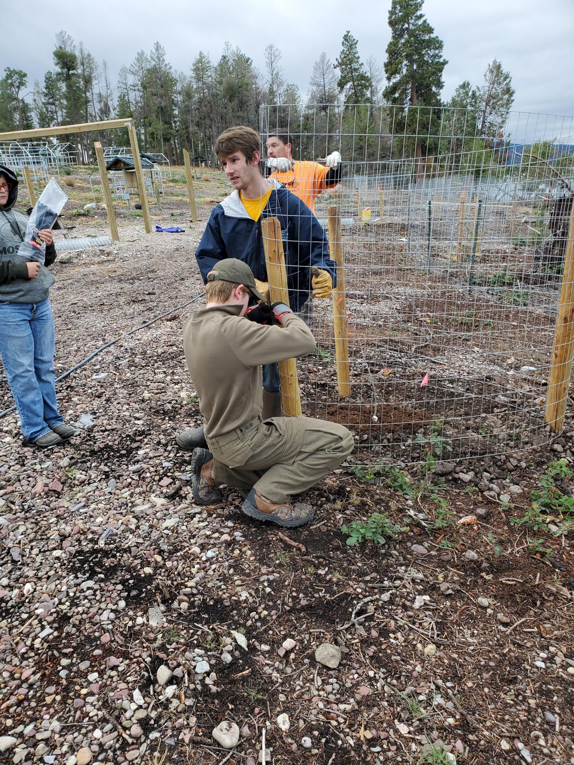 Autumn Melita Island Tree Planting & Transformation | Montana Council
